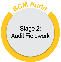 Stage 2: Audit Fieldwork